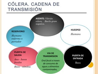 Colera | PPT