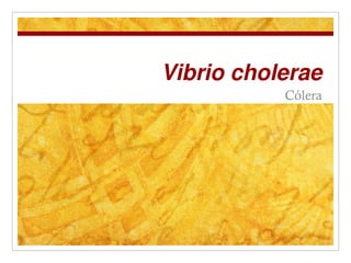 Cólera presentación, microbiología médica | PPT