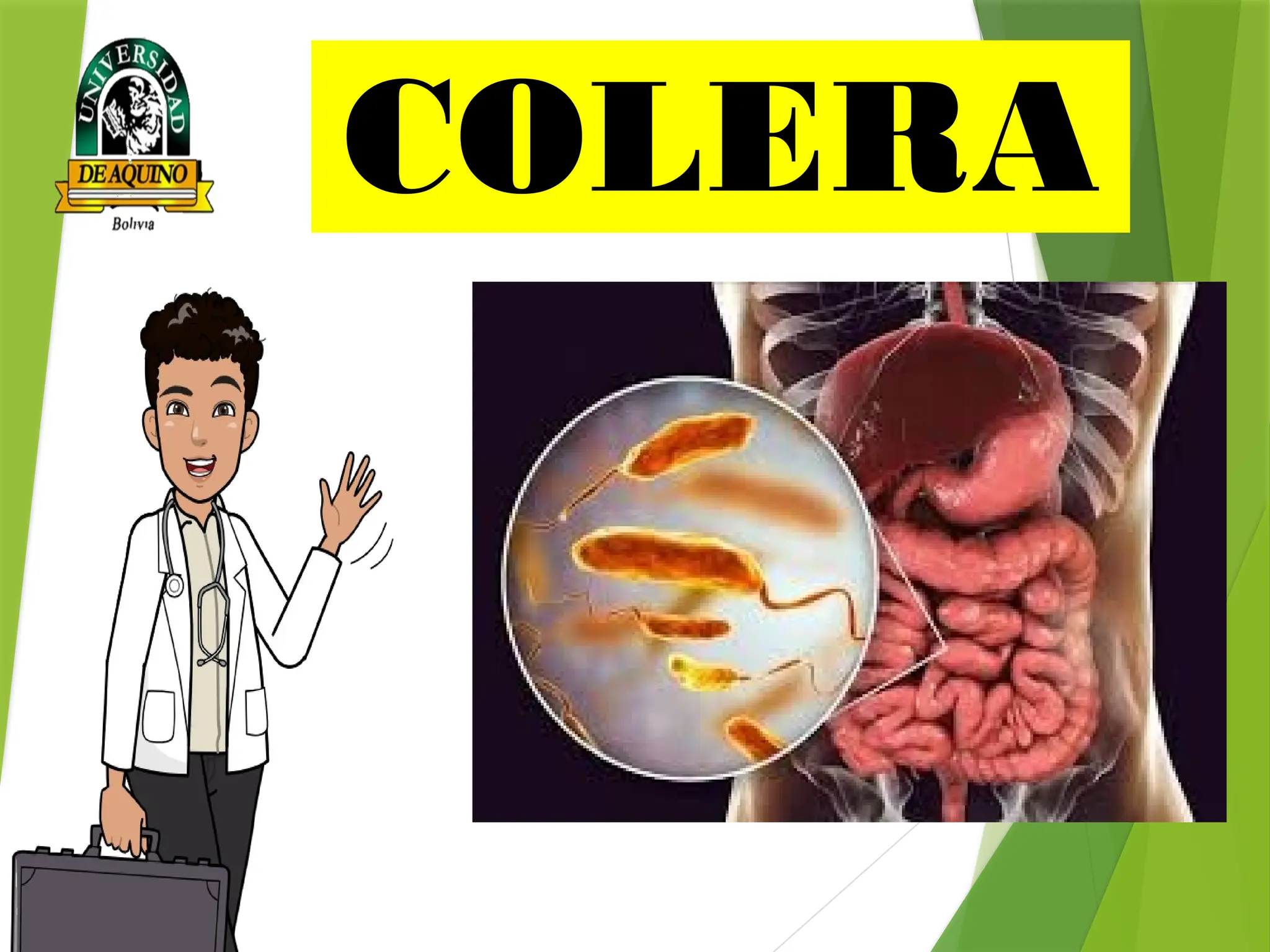 colera enfermedad gastrointestinal. com.pptx