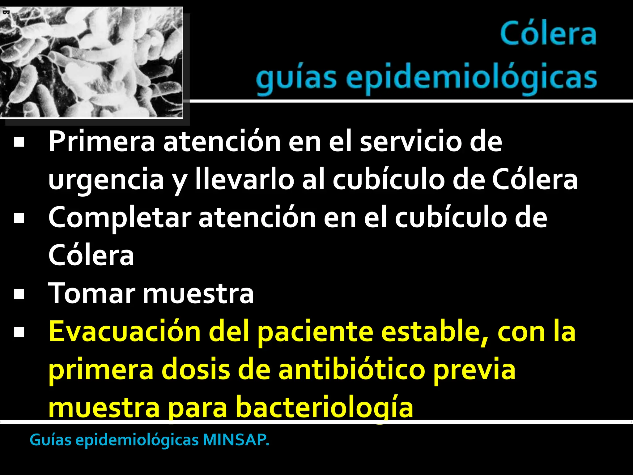 Colera Actualizacion para confrencia a medicos.ppt
