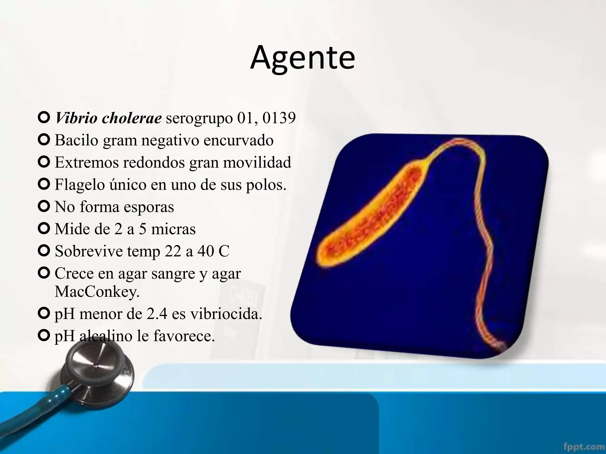 colera dr vasquez.pptx