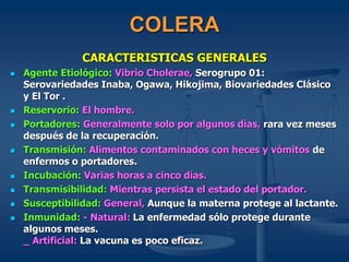 COLERA PARTE 1.ppt