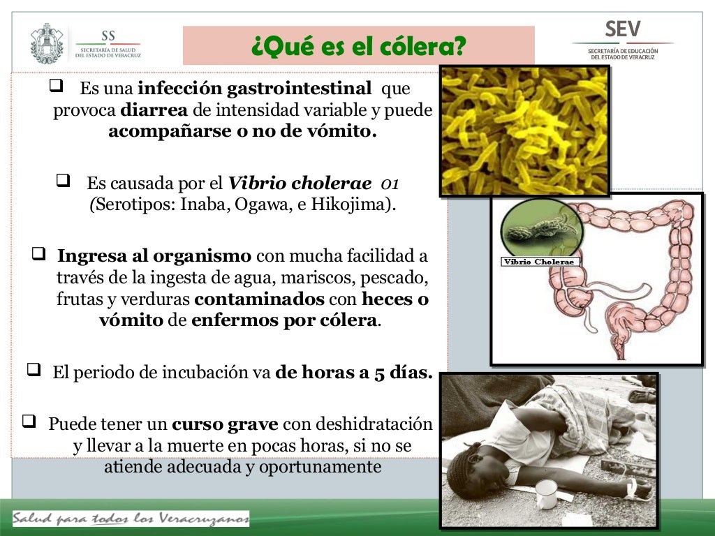 Información sobre el colera-SEV