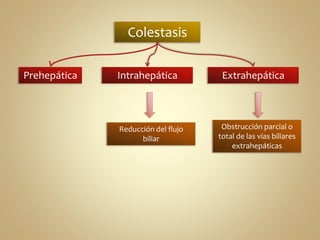 Colestasis | PPTX