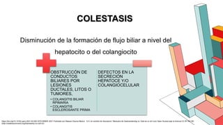 COLESTASIS Y SINDROME ICTERICO.pptx