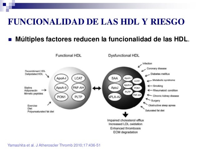 HDL Colesterol y Riesgo Cardiovascular