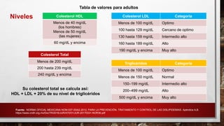 Colesterol, Trigliceridos.pdf