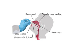 COLETA DE SECREÇÃO DE OROFARINGE,.pdf