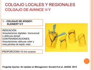 Colgajos cutaneos expo | PPTX