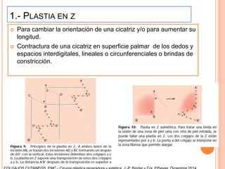 Colgajos cutaneos expo | PPTX
