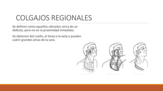 COLGAJOS REGIONALES EN CIRUGÍA MAXILOFACIAL.pdf