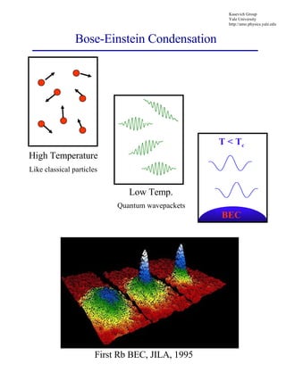Bose Einstein Condensate Particles