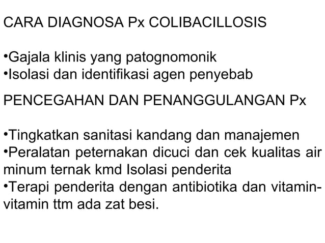 Colibacillosis | PPT