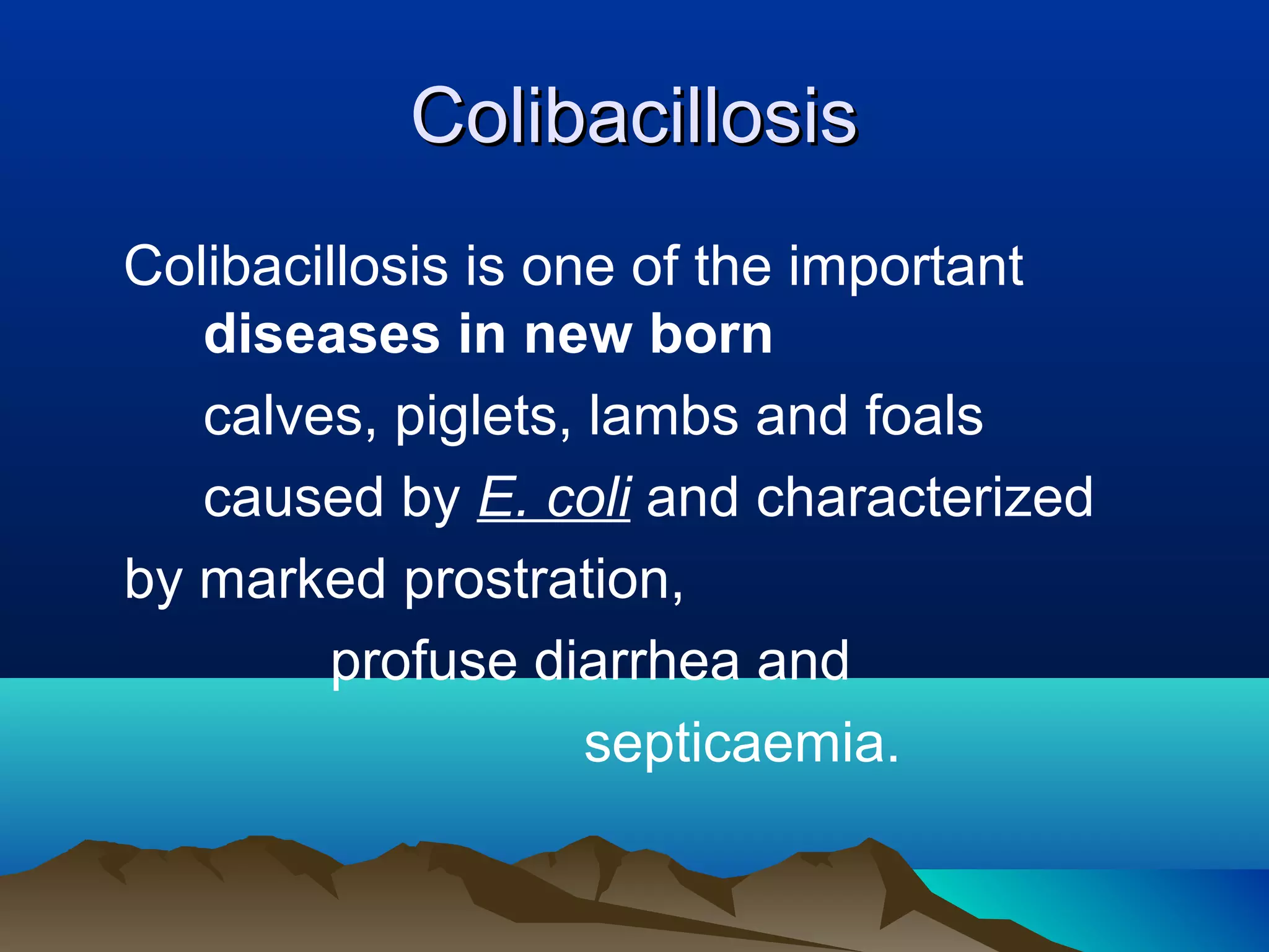 Colibacillosis | PPT