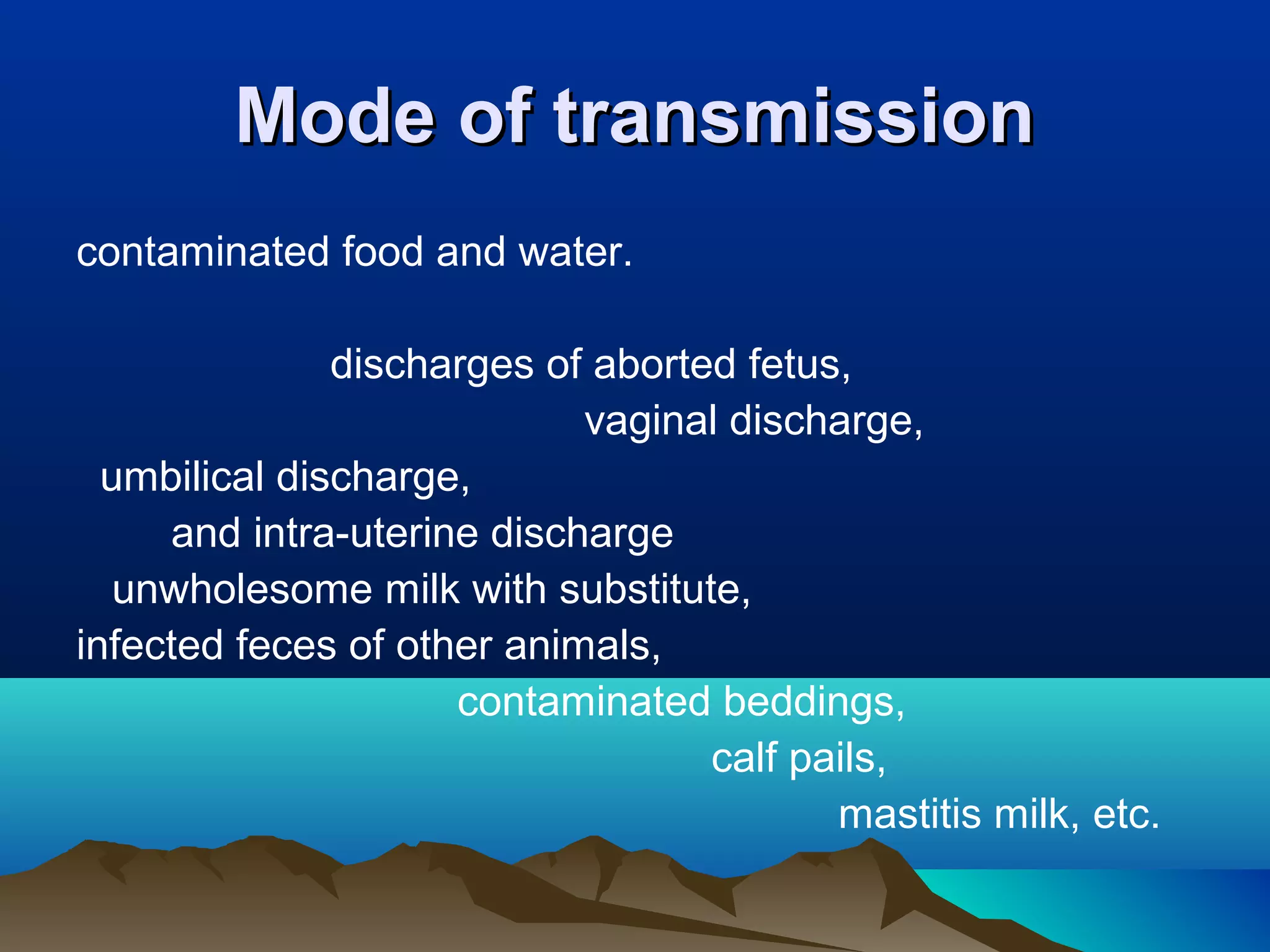 Colibacillosis | PPT