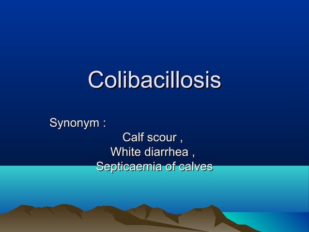 Colibacillosis | PPT | Digestive Disorders | Diseases and Conditions