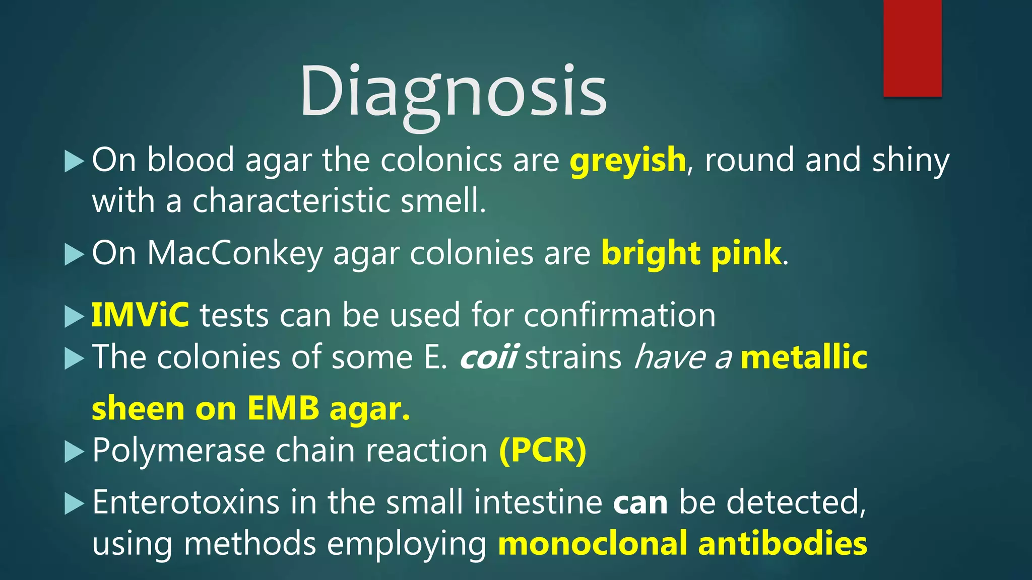 Colibacillosis | PPTX