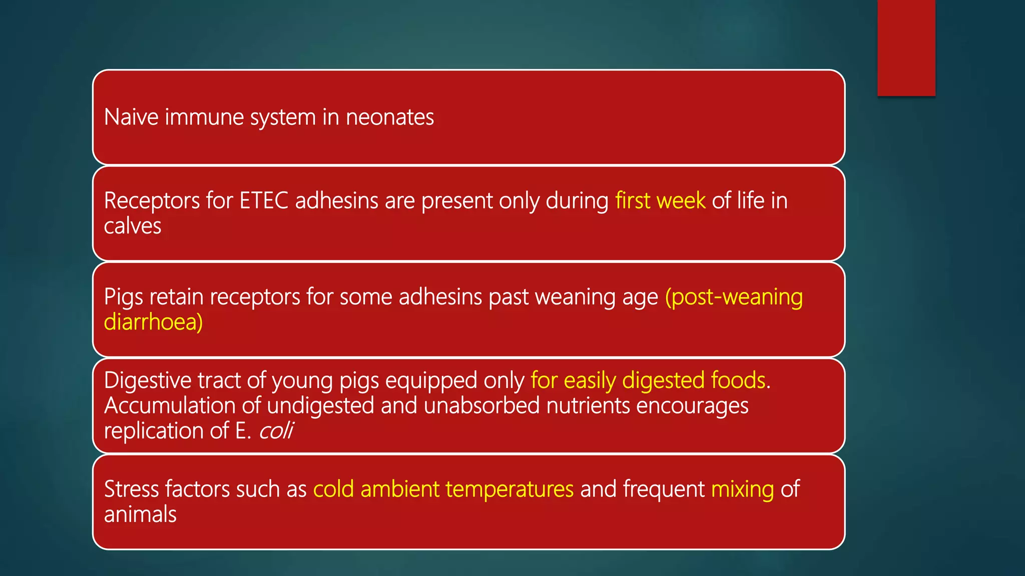 Colibacillosis | PPTX