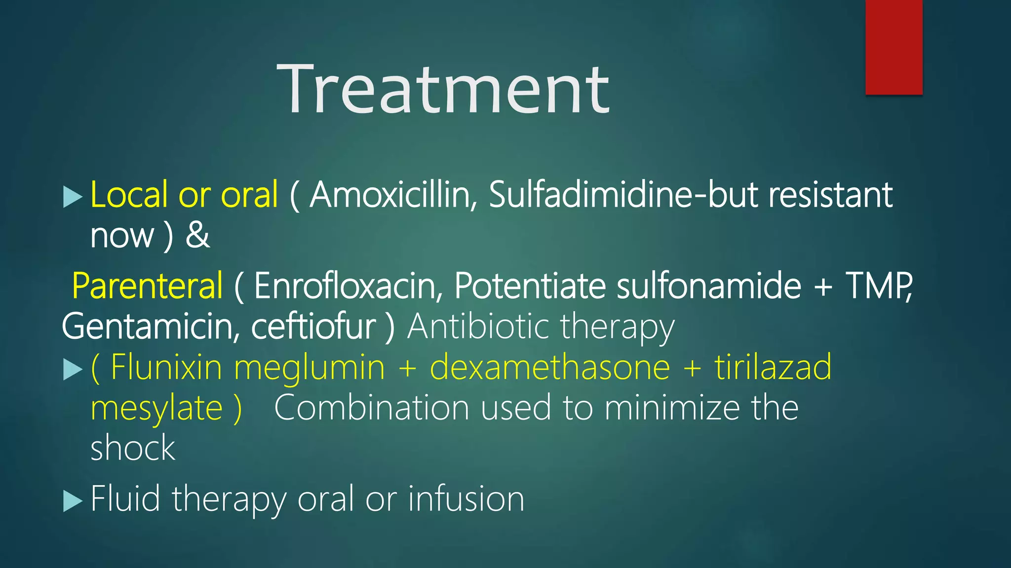 Colibacillosis | PPTX