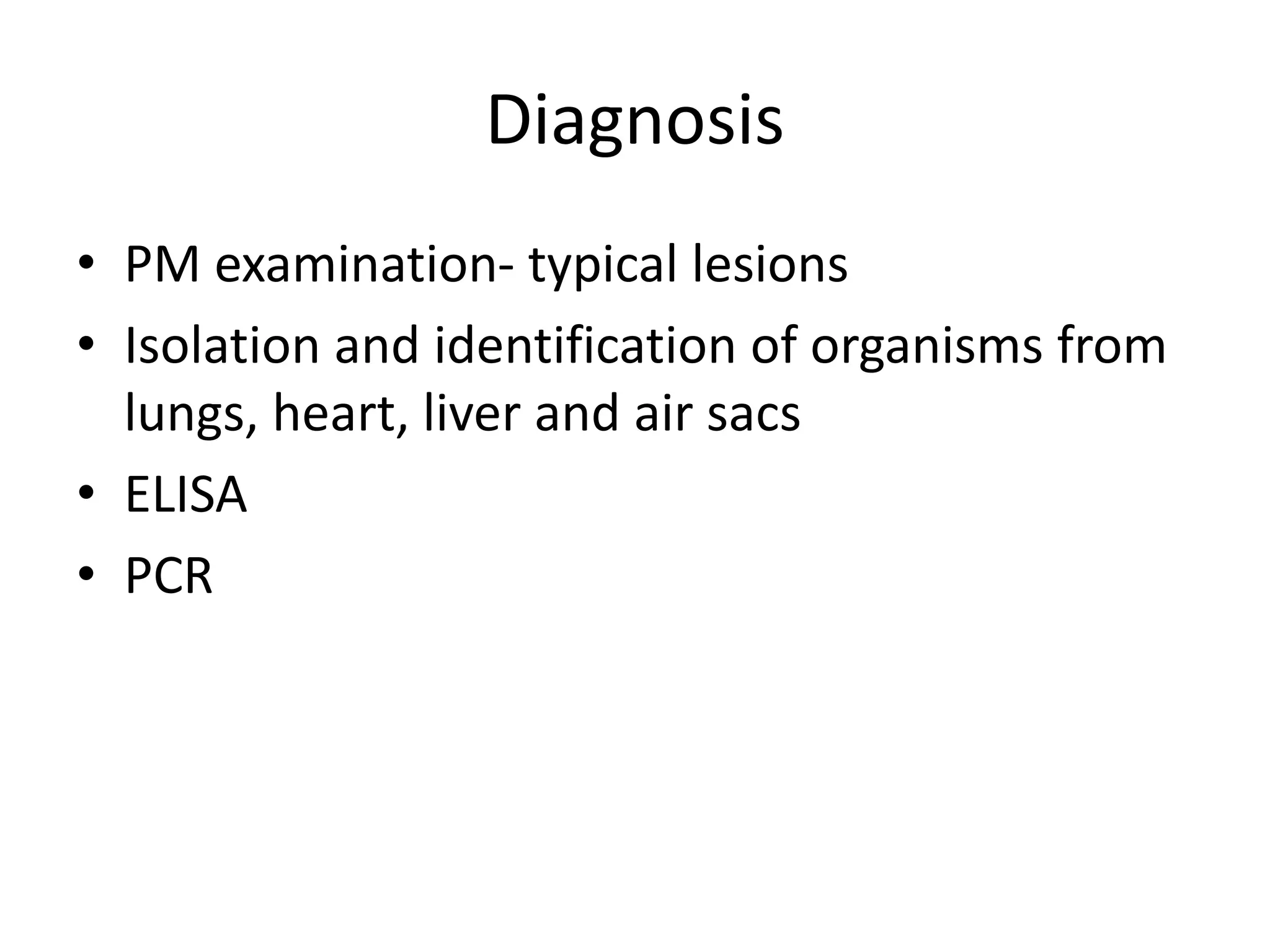 Colibacillosis | PPTX