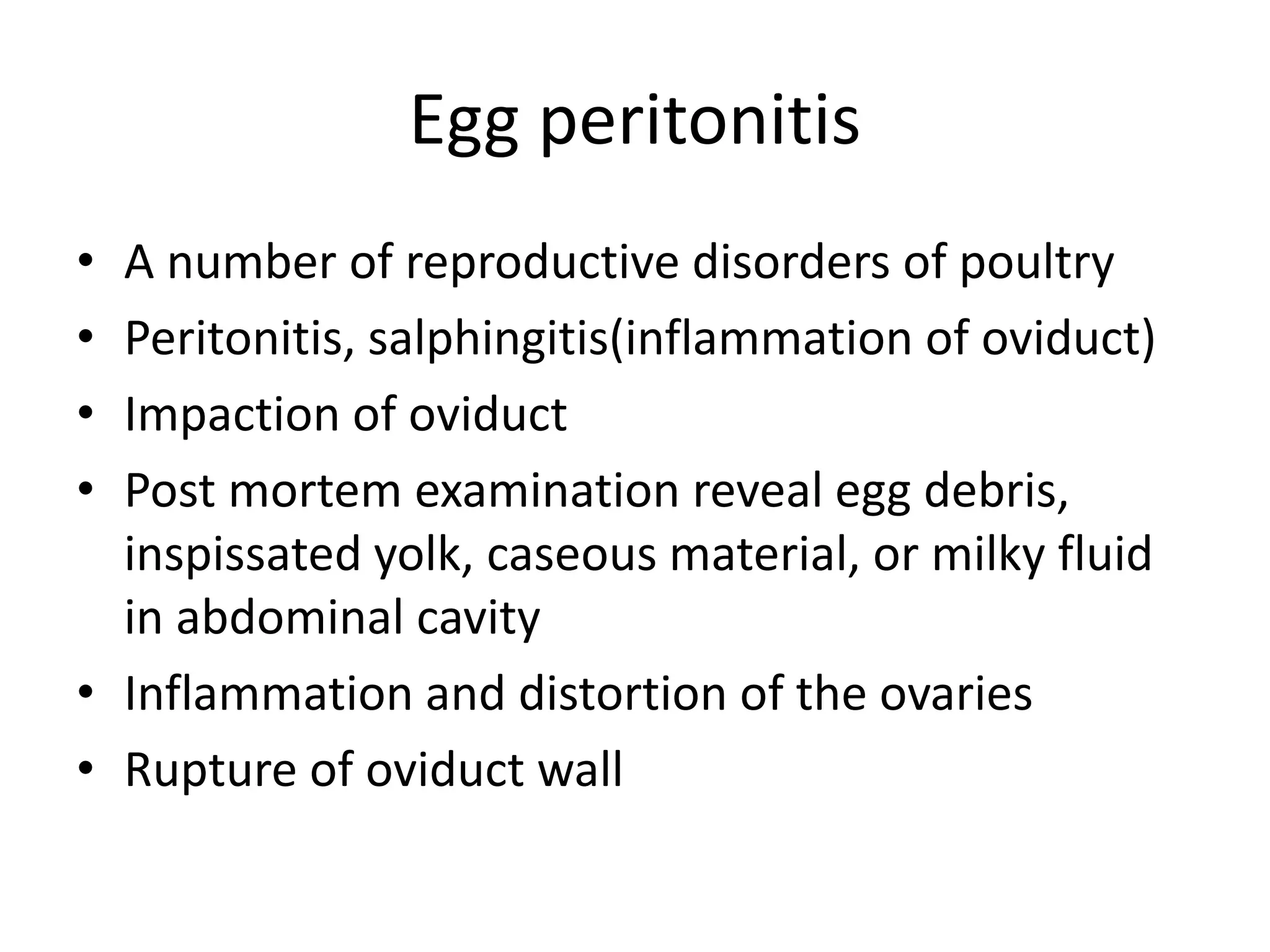 Colibacillosis | PPTX