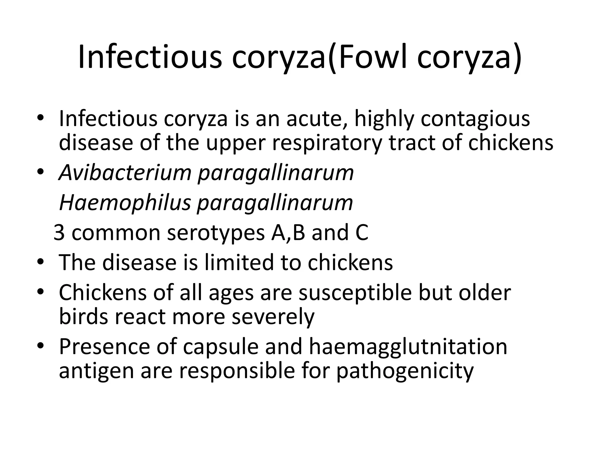 Colibacillosis | PPTX