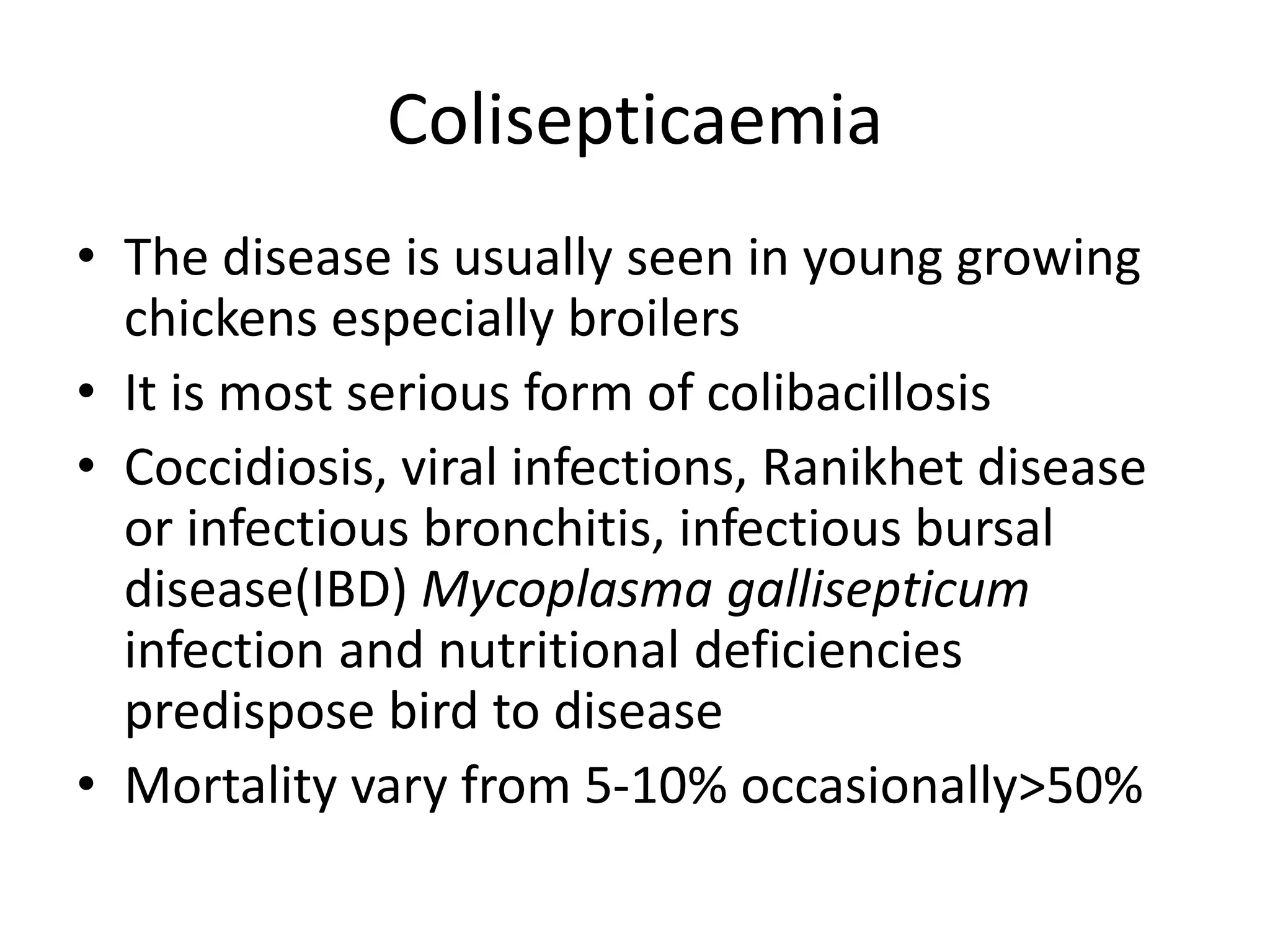 Colibacillosis | PPTX