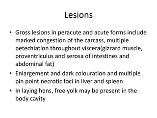 Colibacillosis | PPTX