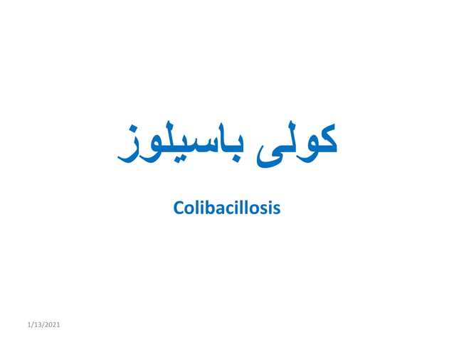Colibacillosis | PPT