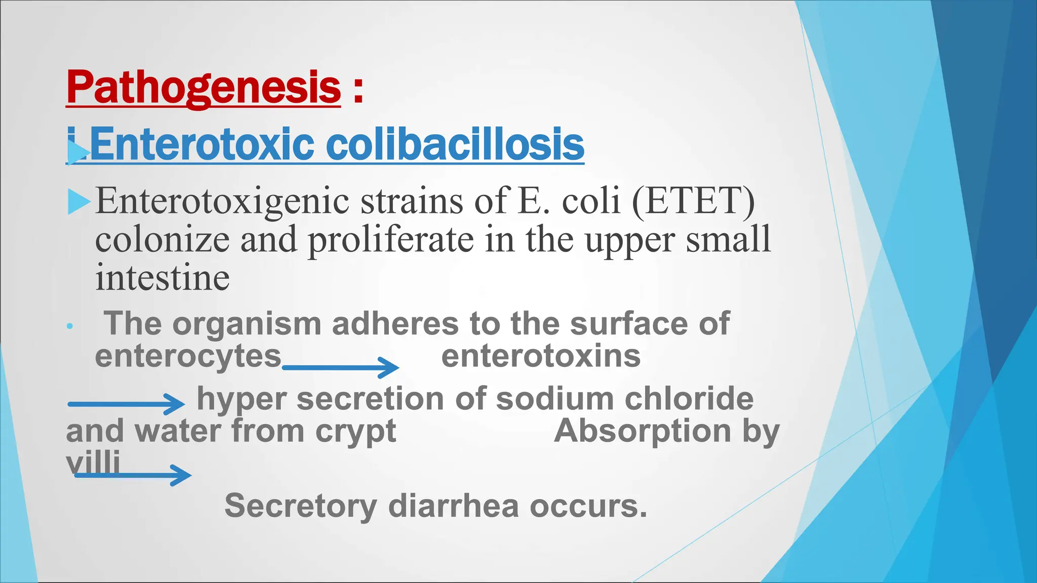 colibacillosis.pptcolibacillosis.ppt colibacillosis.pptcolibacillosis.ppt