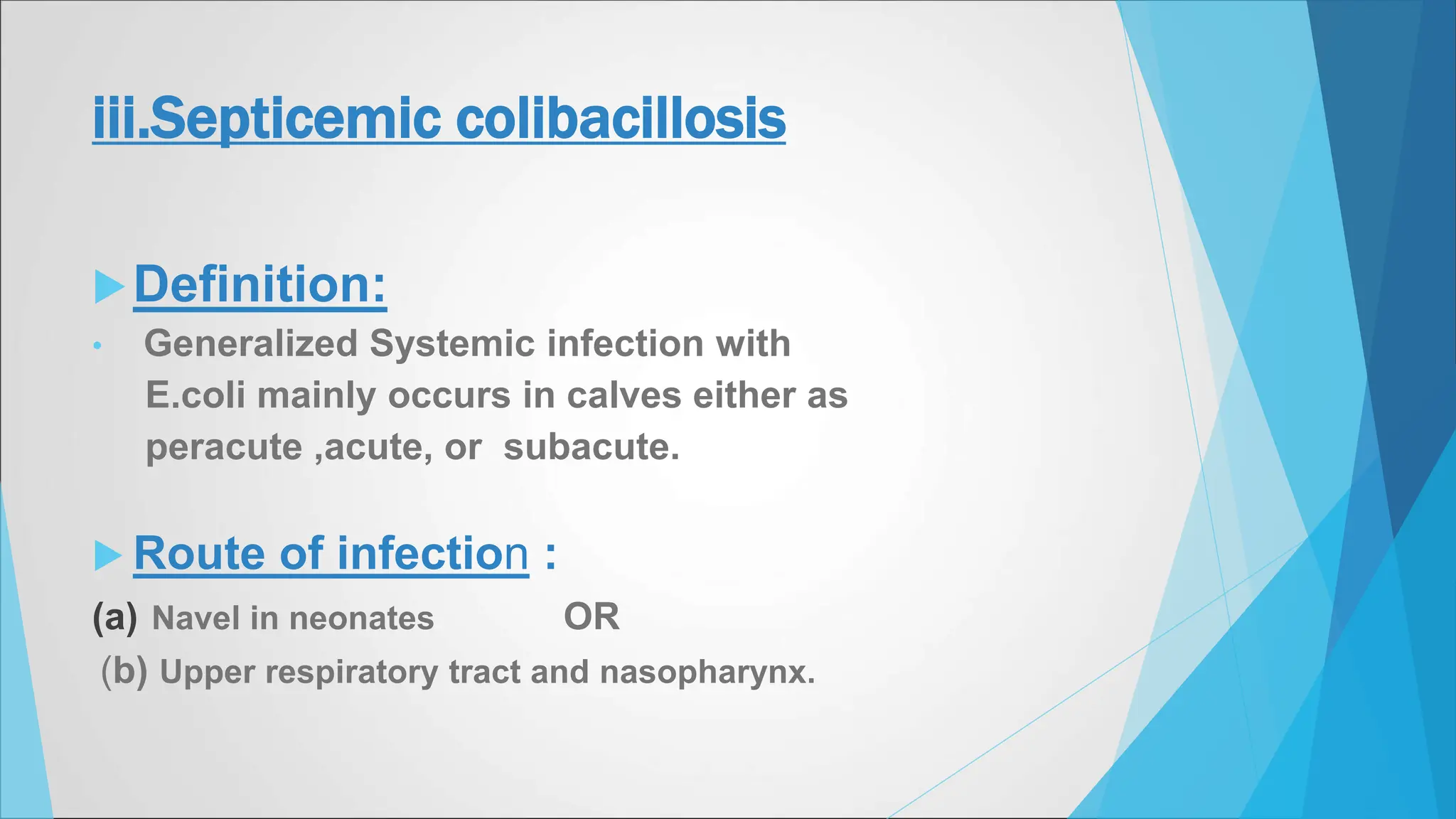 colibacillosis.pptcolibacillosis.ppt colibacillosis.pptcolibacillosis.ppt