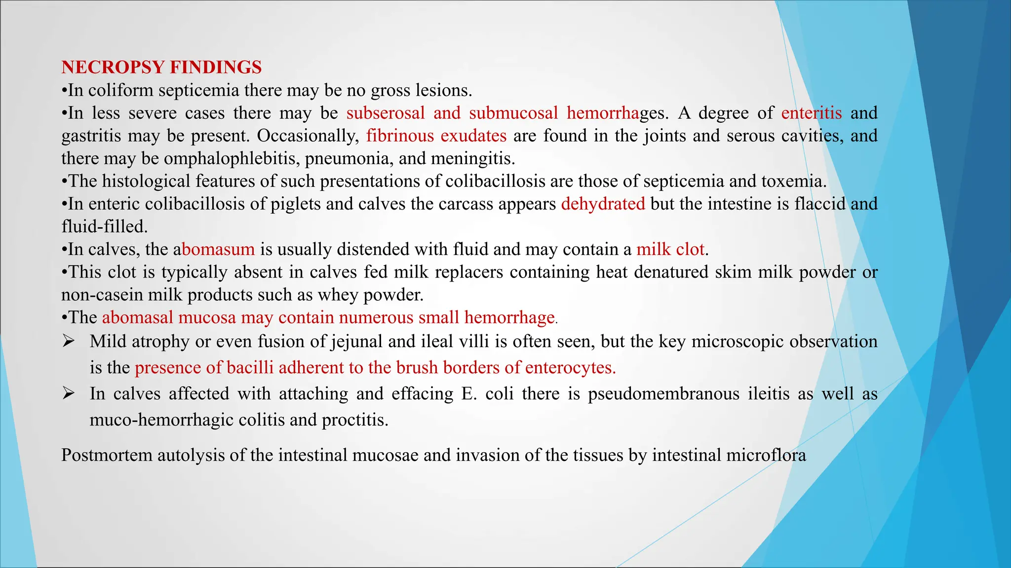 colibacillosis.pptcolibacillosis.ppt colibacillosis.pptcolibacillosis.ppt