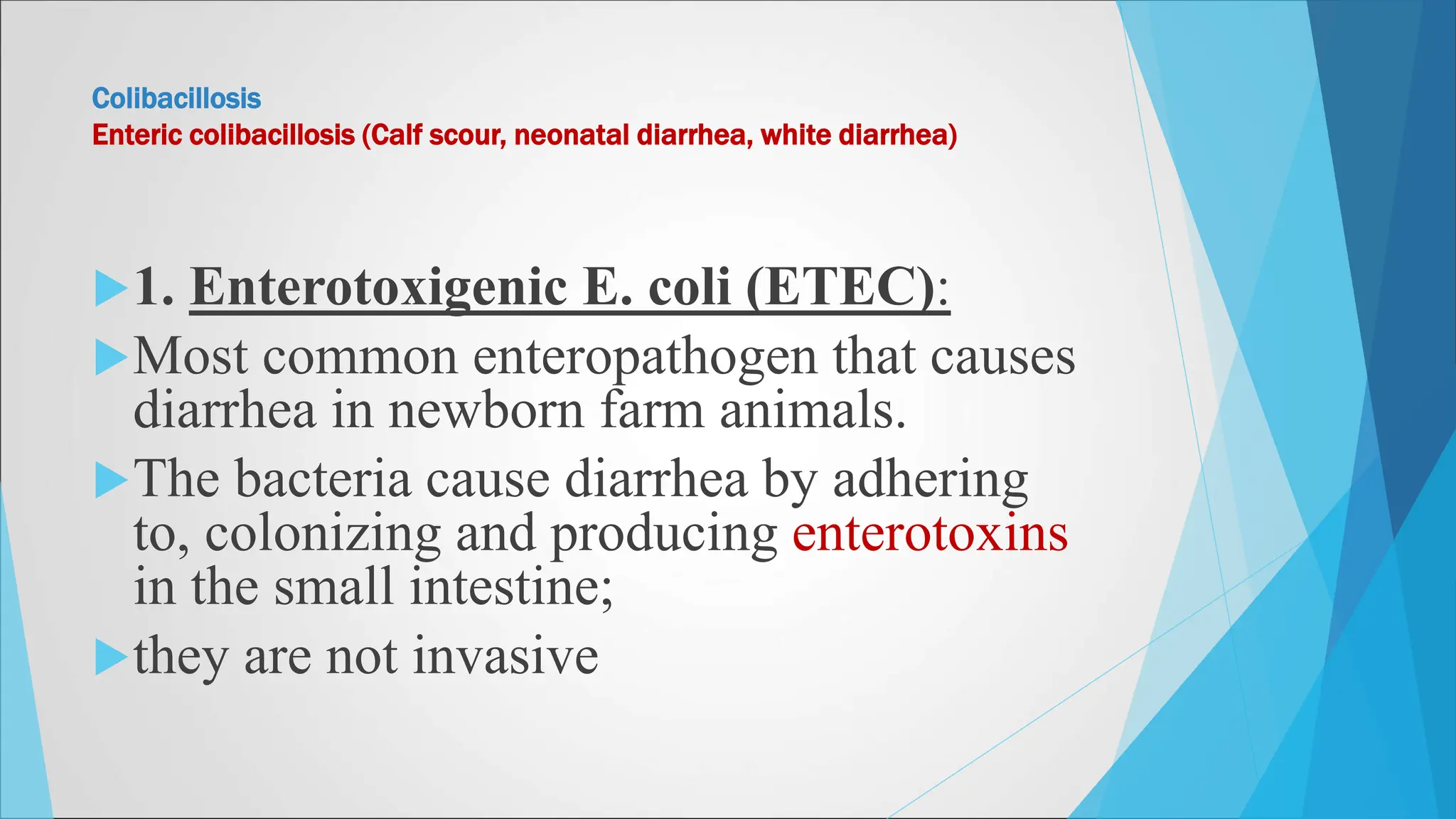colibacillosis.pptcolibacillosis.ppt colibacillosis.pptcolibacillosis.ppt