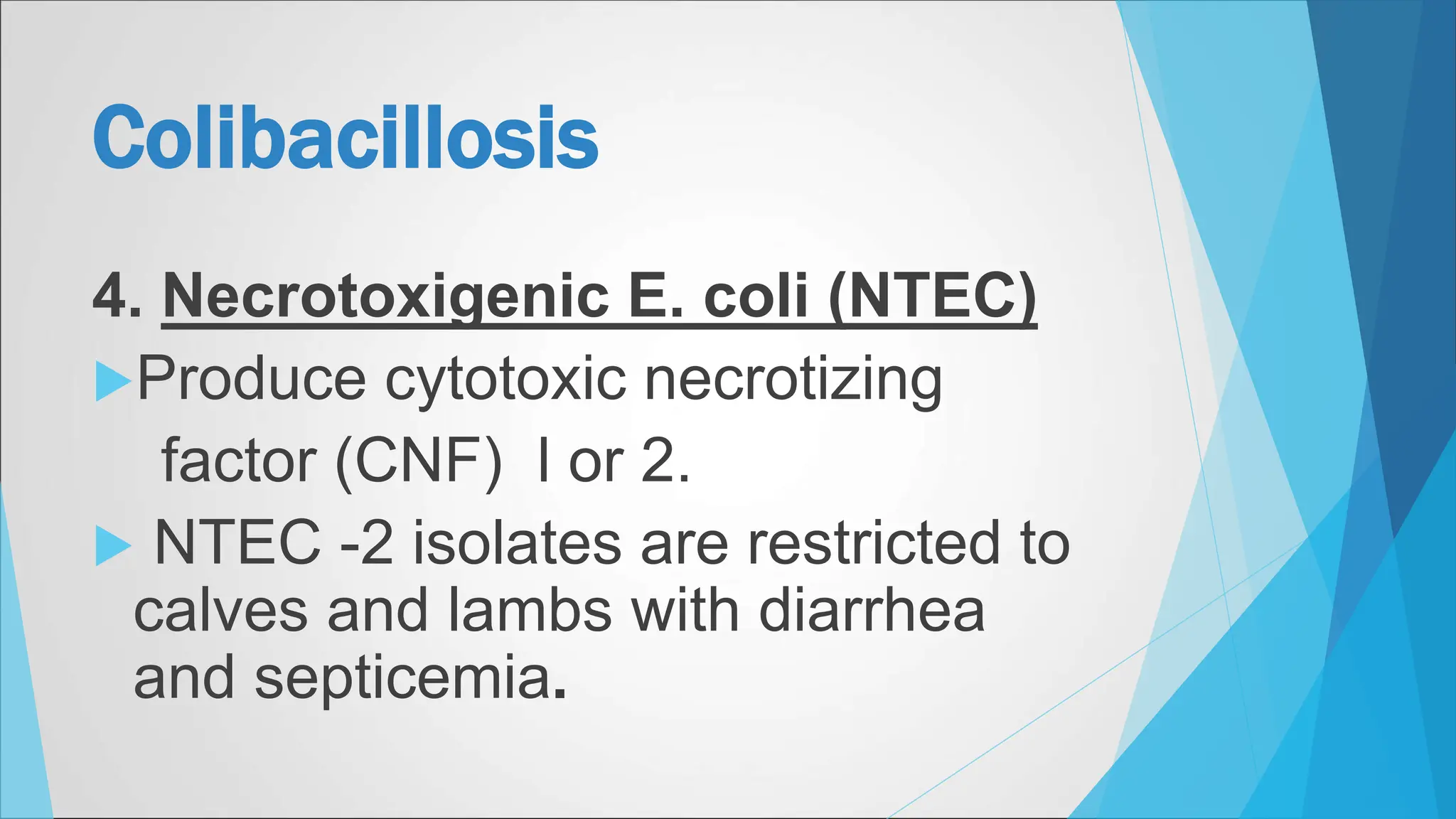 colibacillosis.pptcolibacillosis.ppt colibacillosis.pptcolibacillosis.ppt
