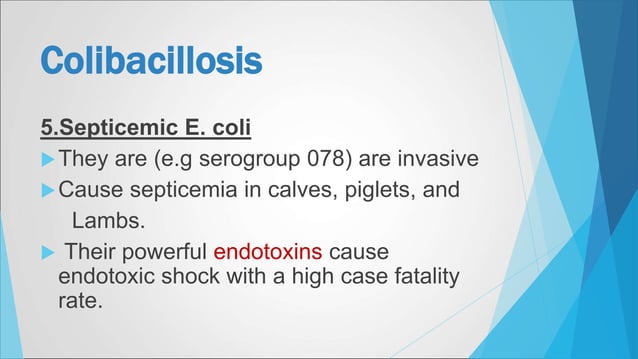 colibacillosis.pptcolibacillosis.ppt colibacillosis.pptcolibacillosis.ppt