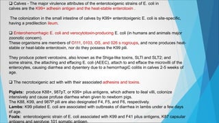 colibacillosis.pptcolibacillosis.ppt colibacillosis.pptcolibacillosis.ppt