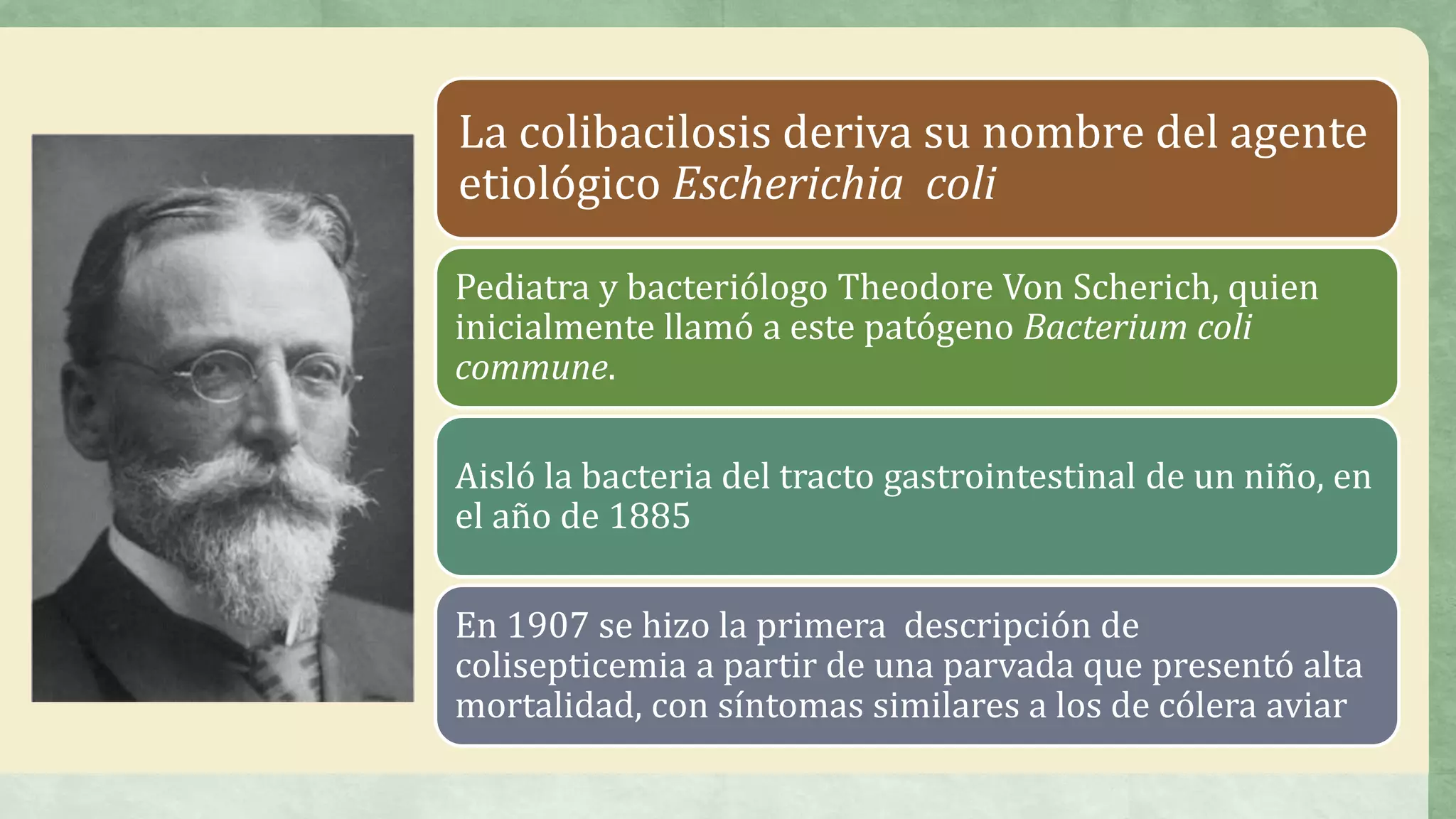 Colibacilosis aviar | PDF