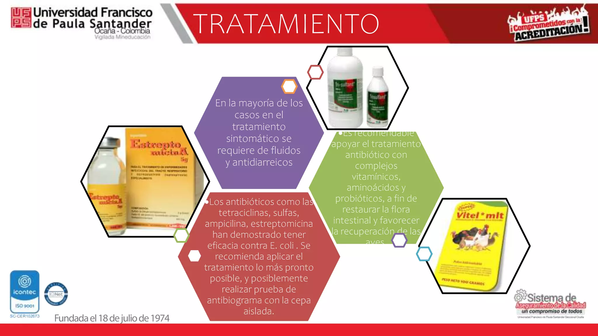 COLIBACILOSIS AVIAR.pptx