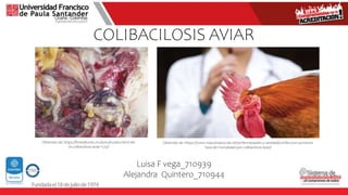 COLIBACILOSIS AVIAR.pptx