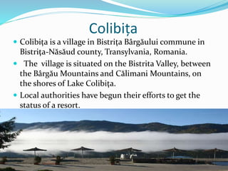Colibita | PPTX
