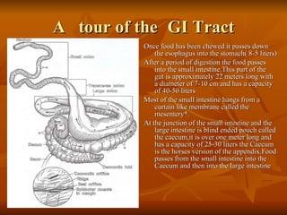 Colic | PPT