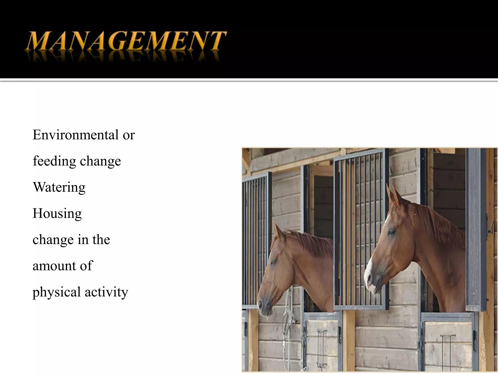equine colic.types of colic, symptoms, diagnosis, treatment and ...