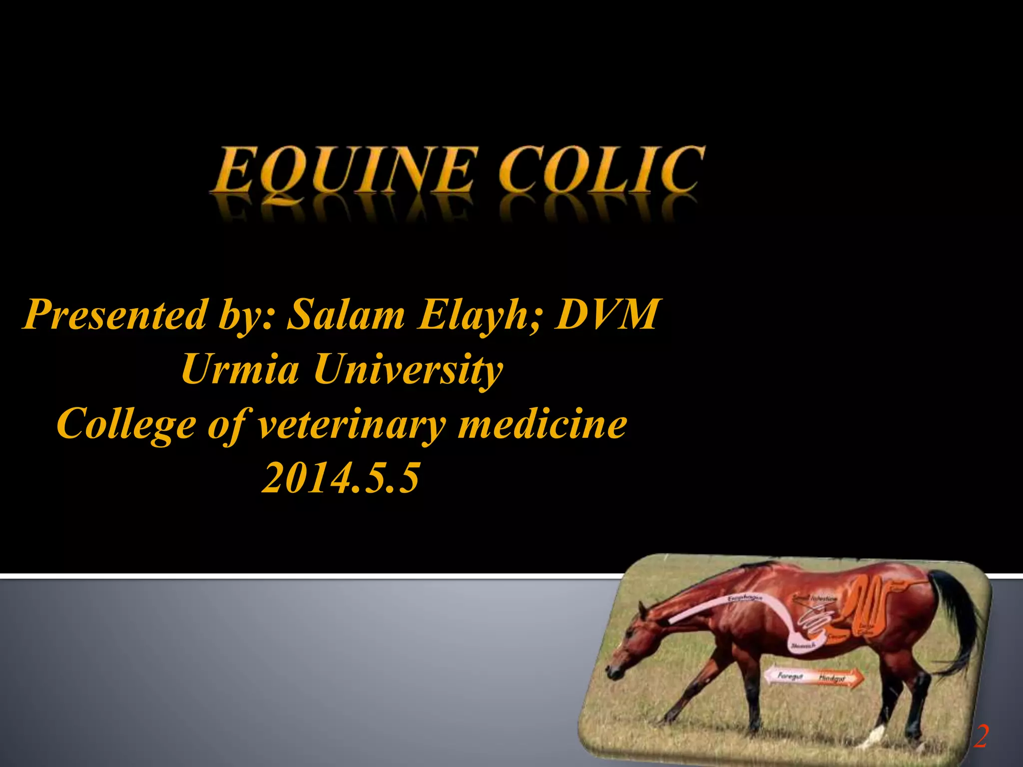 equine colic.types of colic, symptoms, diagnosis, treatment and ...