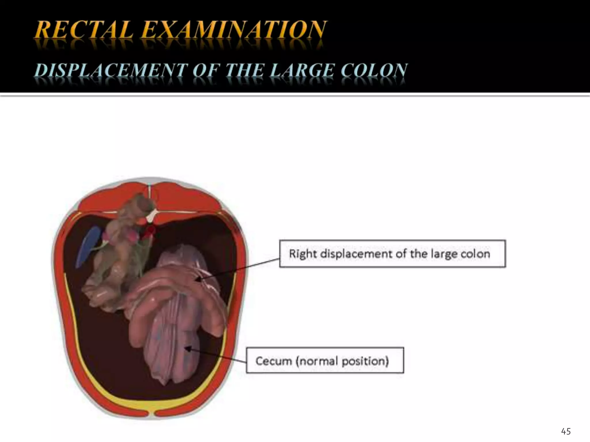 equine colic.types of colic, symptoms, diagnosis, treatment and ...