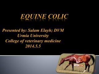 equine colic.types of colic, symptoms, diagnosis, treatment and ...