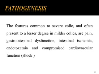 equine colic.types of colic, symptoms, diagnosis, treatment and ...
