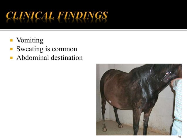 equine colic.types of colic, symptoms, diagnosis, treatment and ...