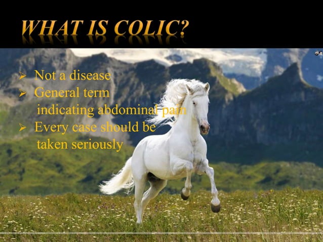 equine colic.types of colic, symptoms, diagnosis, treatment and ...