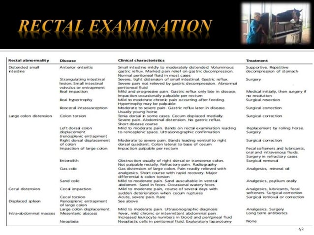 equine colic.types of colic, symptoms, diagnosis, treatment and ...