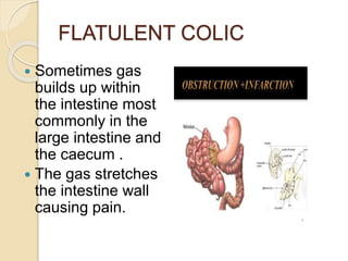 Colic by bharti raj sondhi(types and nutritional therapy and ...